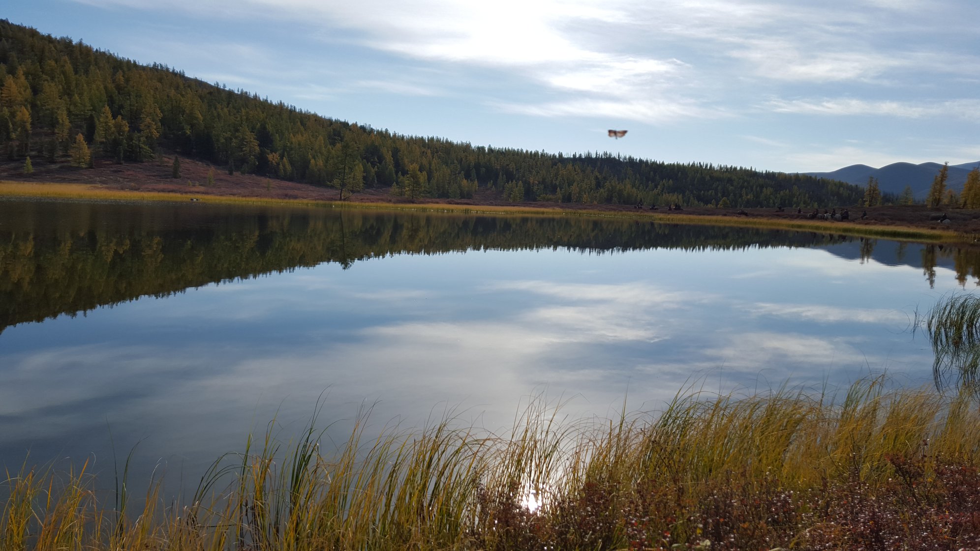 Do I Need a Water Filter for Traveling in Mongolia - Travel to Mongolia