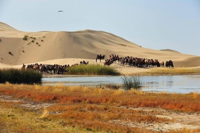 Travel Logistics in Mongolia: Everything You Need to Know - Travel to ...